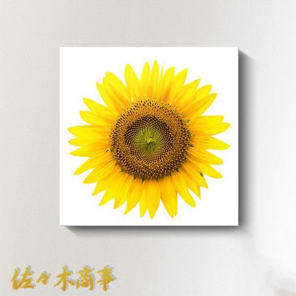 【発売日：2022年03月04日】【アートパネル】サイズ：30*30CM/40*40CM/50*50CM/60*60CM 素材：木製フレーム＋キャンバス（※サイズには多少の誤差が発生します。ご了承下さい。）【素材】防水キャンバス、色褪なし、...