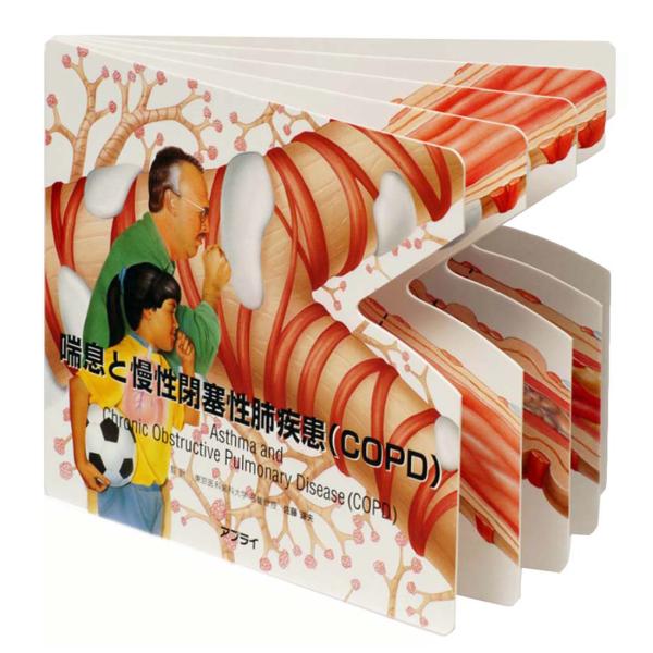 「喘息と慢性閉塞性肺疾患COPD」型抜き絵本の主要内容：・ 正常な肺と肺胞・ 喘息の肺・ 気管支炎の気道・ 肺気腫の肺胞大気汚染、タバコの煙、ウイルス‥。「喘息と慢性閉塞性肺疾患COPD」型抜き絵本では、これらの「喘息」や「気管支炎」、「肺...