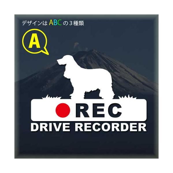 【　アメリカンコッカースパニエル　ドラレコA　】★デザインはＡＢＣの３種類。見本画像1〜3枚をご確認の上、オプションからお選びください。ご選択なしの場合は見本画像１枚目の A タイプになります。【ステッカー説明】見本画像の白い絵柄と文字及び...