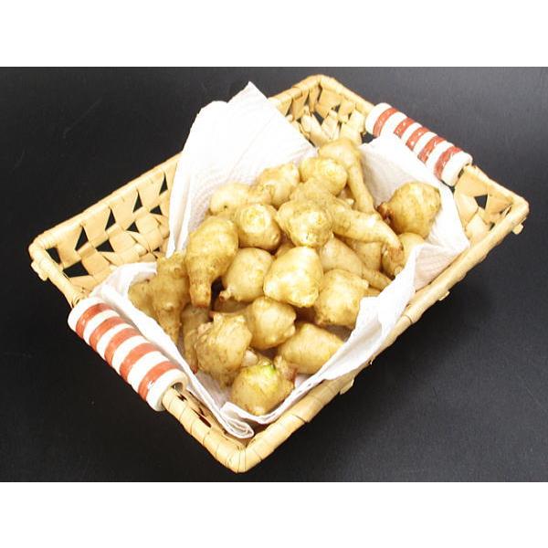 　1袋30粒　凍らせないよう埋めて ５０ｃｍ四方に1粒目安で植えると良いでしょう。植物の芋は寒い冬を経験して暖かくなると春が来たなと感じ芽を出します広い場所のある方は今から植えても大丈夫です。北側に広い空き地を用意して植えてください２ｍぐら...