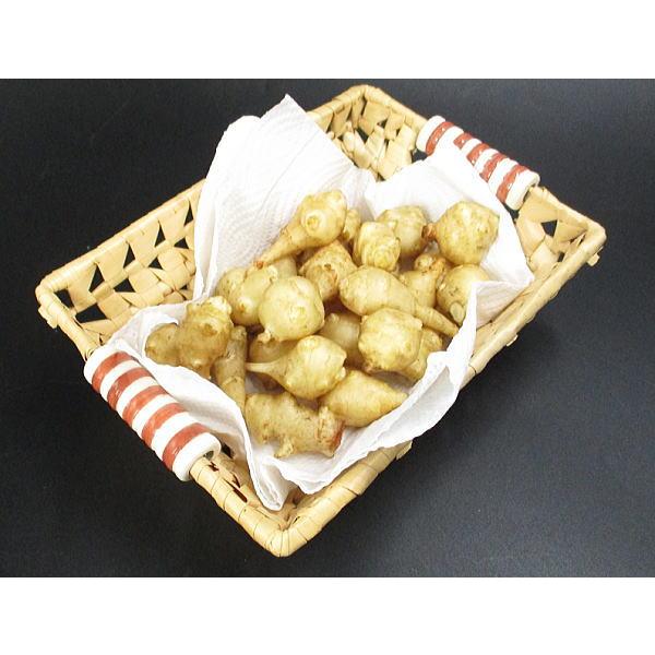 　1袋２0粒　凍らせないよう埋めて ５０ｃｍ四方に1粒目安で植えると良いでしょう。植物の芋は寒い冬を経験して暖かくなると春が来たなと感じ芽を出します広い場所のある方は今から植えても大丈夫です。北側に広い空き地を用意して植えてください２ｍぐら...