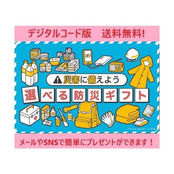クレジット・PayPay残高払い不可【商品名】伊藤忠食品選べるギフトカード　選べる防災ギフトカード3000円（デジタルコード販売）※コード通知のみ　送料無料【有効期限】出荷日より6ヶ月【商品詳細】　　※商品選択から注文まですべてオンラインで...