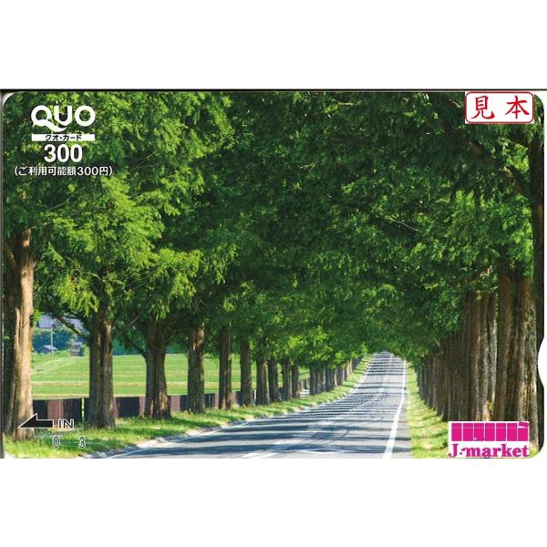 クレジットカード・PayPay残高払い不可【商品名】QUOカード(クオカード)　300円      ※通常、クオカード300円券を購入しようとすると製造コスト等が含まれており　額面より高い価格(330円)での販売となります。      ※専...