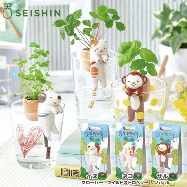 しっぽん（Shippon）GD-660｜動物のしっぽから植物が育つ可愛い栽培キットコップに引っかけるだけで育てられる、人気の「しっぽん」シリーズ。動物のしっぽ部分が吸水紐になっており、水を吸い上げて植物が育つユニークな栽培キットです。育て方...