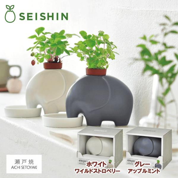Eleplant（エレプラント）GD-955｜瀬戸焼の象が水を飲んで植物を育てる底面給水プランター愛知県瀬戸市で作られる「瀬戸焼」の温かみある質感と、象が水を飲んで植物を育てているように見えるユニークなデザインが魅力の底面給水タイプの陶器プ...