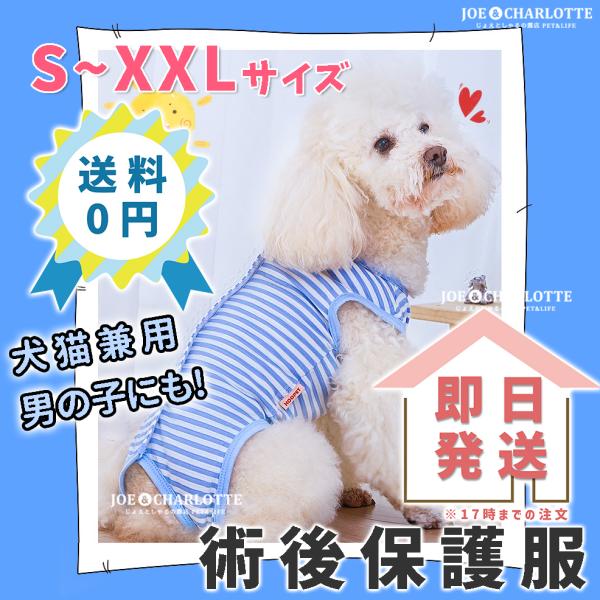 【使用上の注意】◇女の子は着用したまま、おしっことうんち両方できます。◇男の子は着用したまま、うんちはできますが、おしっこをするためには、おむつを着用するか、下腹部の丸いミシン目の「内側」を切る必要があります。【ポイント】◇通気性が良く、弾...