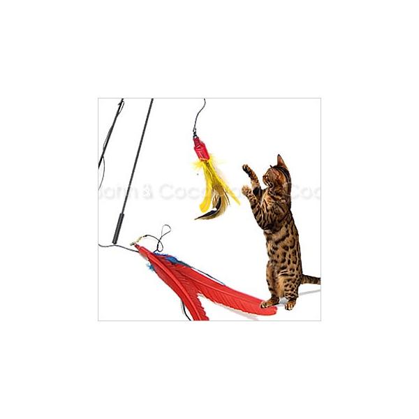 勢いよく振ると羽音がして猫の野生の本能をくすぐります。棒などのパーツも長く、ダイナミックな動きや隠れながらの遊びもできます。