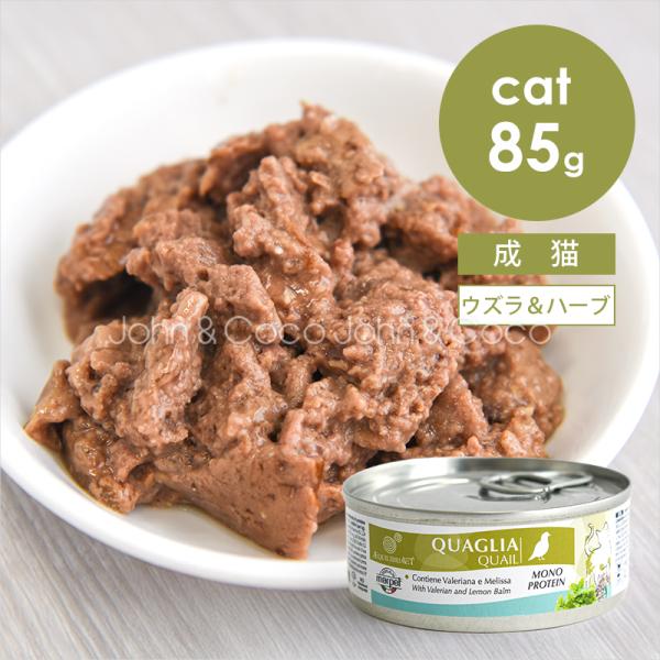 猫用ウェットフード（栄養補完食）※総合栄養食の基準を満たしています。