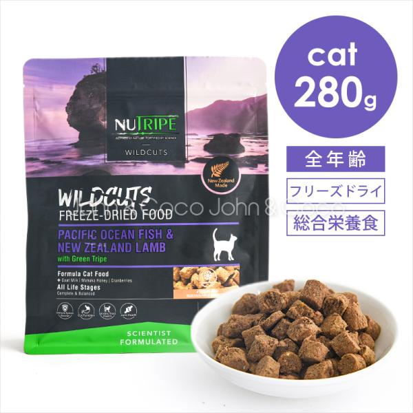 猫用ドライフード（オールライフステージ総合栄養食）