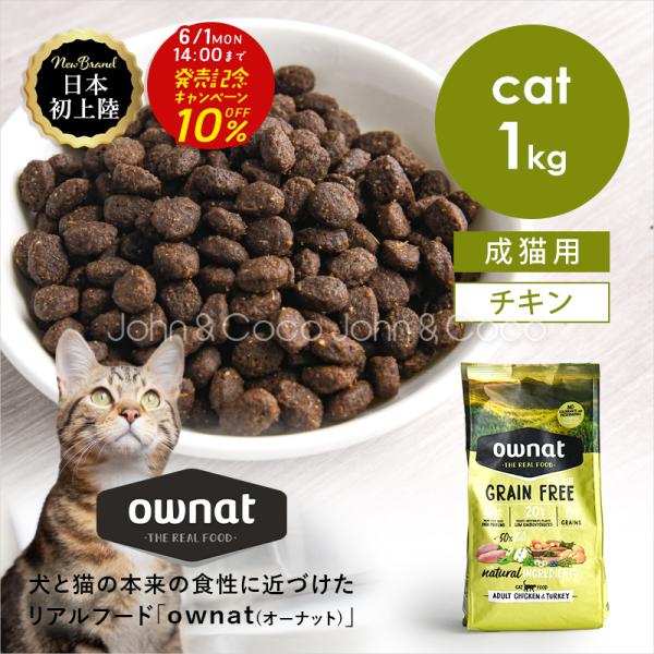 成猫用ドライフード（アダルトメンテナンス総合栄養食）