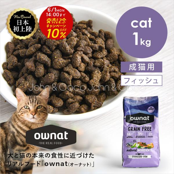 成猫用ドライフード（アダルトメンテナンス総合栄養食）