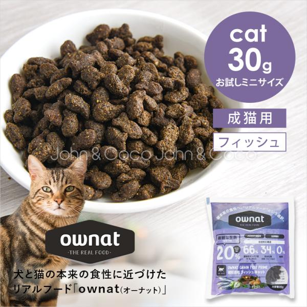 成猫用ドライフード（アダルトメンテナンス総合栄養食）
