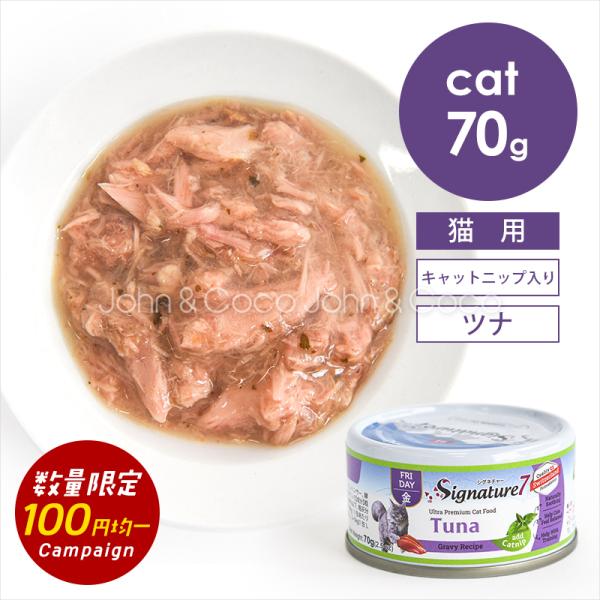猫用ウェットフード（栄養補完食）