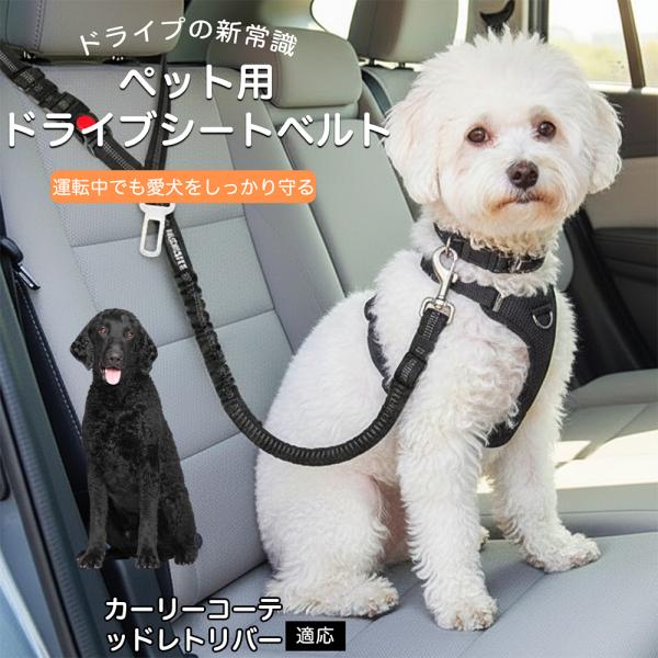 【適応ペット】 カーリーコーテッドレトリバー犬 カーリーレトリバー【商品概要】愛犬とのドライブをより安全・快適にする、衝撃吸収機能付きのペット用ドライブシートベルトです。急ブレーキやカーブ時の衝撃を和らげるバンジーコードを採用。ヘッドレスト...