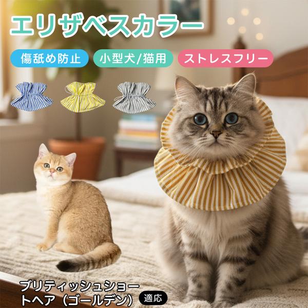 適応ペット ブリティッシュショートヘアゴールデン猫 【商品概要】ペットの負担を最小限に抑えることを追求した、布製のソフトエリザベスカラーです。プラスチック製を嫌がる猫ちゃんやワンちゃんのために、やさしい着け心地と機能性を両立させました。【こ...