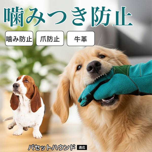 適応ペットバセットハウンド犬 バセット商品名：咬みつき防止ペットグローブ（犬・猫・小動物／牛革）説明：厚手牛革で手〜前腕を保護。親指・掌・手首を重点補強し、咬みつき・引っかきを軽減。柔軟で作業性が高く、ペットケアはもちろんガーデニング・DI...