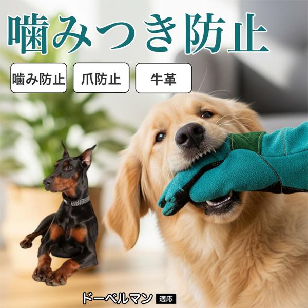 適応ペットドーベルマン犬種 ドーベル商品名：咬みつき防止ペットグローブ（犬・猫・小動物／牛革）説明：厚手牛革で手〜前腕を保護。親指・掌・手首を重点補強し、咬みつき・引っかきを軽減。柔軟で作業性が高く、ペットケアはもちろんガーデニング・DIY...
