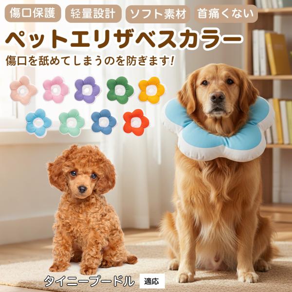 適応ペットタイニープードル犬 タイニープー商品名：ソフトエリザベスカラー（犬猫兼用／布製・花型）説明：柔らかい布製＋中綿で軽量。ぶつかっても痛みにくく、視界を妨げにくい。食事や給水もしやすく、日常生活のストレスを軽減。表面は撥水で汚れは拭き...