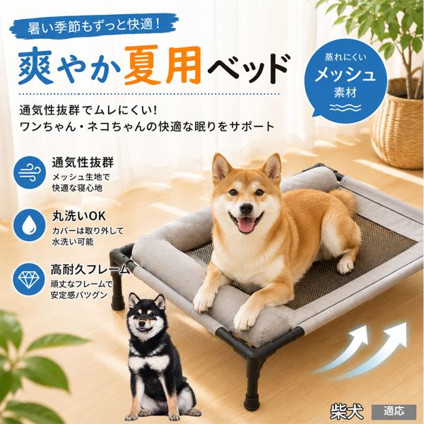【適応ペット】 柴犬種 柴【商品概要】暑い季節も快適に過ごせる、高床式のメッシュペットベッドです。床から浮かせた設計により熱や湿気がこもりにくく、蒸れを軽減。中央部分の高通気メッシュ素材が空気をスッと逃がし、夏場の熱中症対策を快適にサポート...