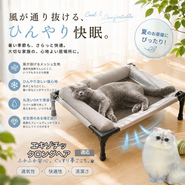 【適応ペット】 エキゾチックロングヘア猫 エキゾロン【商品概要】暑い季節も快適に過ごせる、高床式のメッシュペットベッドです。床から浮かせた設計により熱や湿気がこもりにくく、蒸れを軽減。中央部分の高通気メッシュ素材が空気をスッと逃がし、夏場の...
