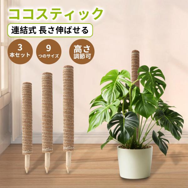 天然ココナッツファイバー使用：保湿性・通気性に優れ、気根の張り付きと水分吸収を促進します。木製芯で安定挿入：先端がしっかり固定され根茎を傷つけず、植物の成長をサポート。延長可能なデザイン：連結穴に差し込むだけで高さを調整でき、生長に合わせて...