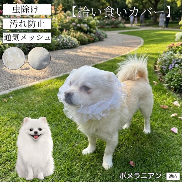 適応ペット ポメラニアン犬 ポメ やさしく包み込むメッシュ素材を採用した犬用拾い食い防止カバーです。軽量で柔らかく、通気性に配慮した構造のため呼吸を妨げにくい設計です。細かいメッシュ構造により、散歩中の拾い食いや虫の侵入対策、汚れ防止をサポ...