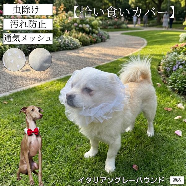 適応ペット イタリアングレーハウンド犬 イタグレ やさしく包み込むメッシュ素材を採用した犬用拾い食い防止カバーです。軽量で柔らかく、通気性に配慮した構造のため呼吸を妨げにくい設計です。細かいメッシュ構造により、散歩中の拾い食いや虫の侵入対策...
