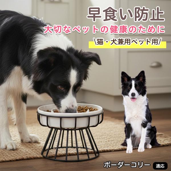 適応ペット ボーダーコリー犬 ボーダー 商品名：スローフードボウル商品説明：凹凸の迷路構造で一気食いを抑え、自然にゆっくり食べられる猫・小型犬向けフードボウル。高温焼成の陶器は汚れ・においが付きにくく衛生的。アイアン製スタンドで適度な高さを...