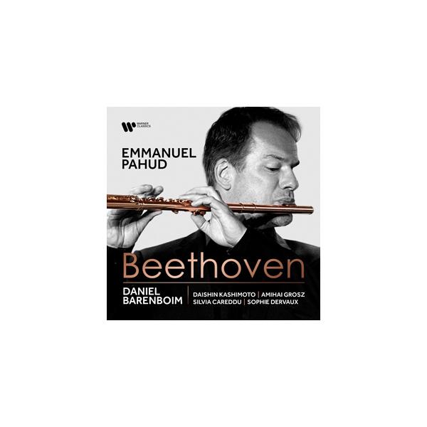 ◆品　番：9029-513974◆発売日：2020年12月11日発売◆出荷目安：1週間（品切時2〜3週間)◆※海外メーカー都合により、商品内容が急遽変更となる場合がございます。◆※発売日は現地の発売日です。※日本語ブックレット等は付属してお...