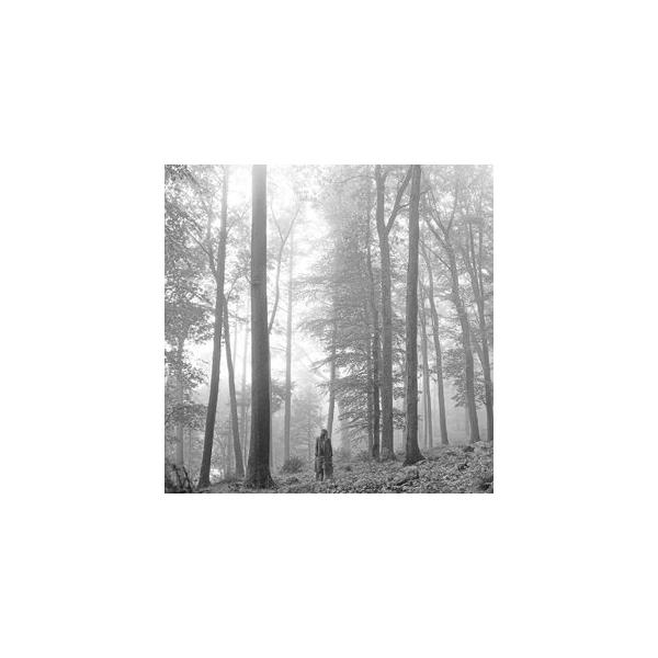 ◆品　番：350-3480◆発売日：2020年08月07日発売◆出荷目安：1週間(品切時2〜3週間)◆◆国内入荷予定が遅れる場合もございます◆◆※海外メーカー都合により、商品内容が急遽変更となる場合がございます。◆※発売日は現地の発売日です...