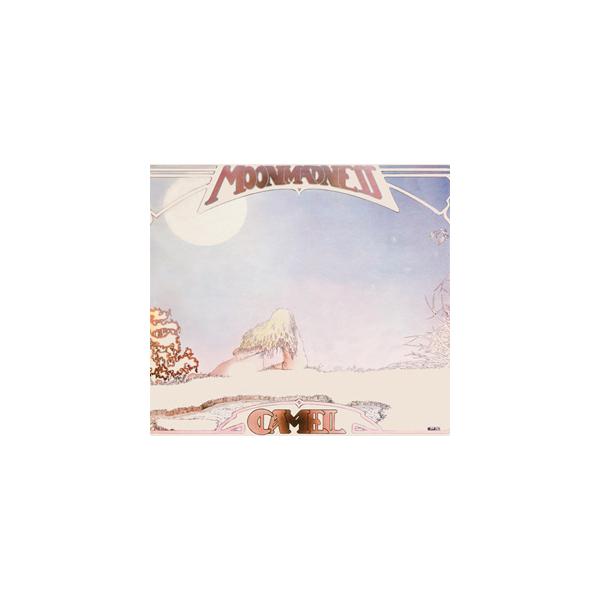 ◆品　番：456-8295◆発売日：2023年11月25日発売◆出荷目安：約1週間（品切時2〜3週間）◆◆国内入荷予定が遅れる場合もございます◆◆※海外メーカー都合により、商品内容が急遽変更となる場合がございます。◆※発売日は現地の発売日で...