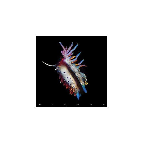 ◆品　番：489-2705◆発売日：2023年05月12日発売◆出荷目安：約1週間（品切時2〜3週間）◆◆国内入荷予定が遅れる場合もございます◆◆※海外メーカー都合により、商品内容が急遽変更となる場合がございます。◆※発売日は現地の発売日で...