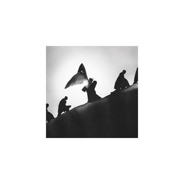 ◆品　番：581-9736◆発売日：2023年09月23日発売◆出荷目安：1週間(品切時2〜3週間)◆◆国内入荷予定が遅れる場合もございます◆◆※海外メーカー都合により、商品内容が急遽変更となる場合がございます。◆※発売日は現地の発売日です...