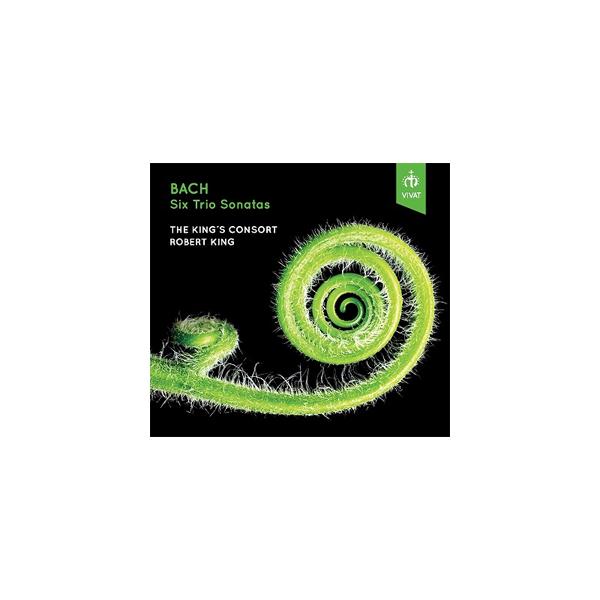 ◆品　番：VIVAT-123◆発売日：2023年09月22日発売◆出荷目安：約2週間（品切時1〜2ヵ月)◆◆国内入荷予定が遅れる場合もございます◆◆※海外メーカー都合により、商品内容が急遽変更となる場合がございます。◆※発売日は現地の発売日...