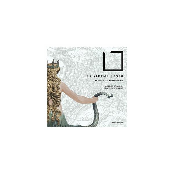 ◆品　番：NAD-6◆発売日：2026年04月20日発売◆出荷目安：発売日以降◆◆国内入荷予定が遅れる場合もございます◆◆※海外メーカー都合により、商品内容が急遽変更となる場合がございます。◆※発売日は現地の発売日です。※日本語ブックレット...