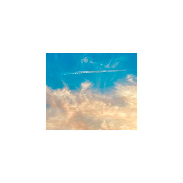 ◆品　番：725-894◆発売日：2023年09月15日発売◆出荷目安：約1週間（品切時2〜3週間）◆◆国内入荷予定が遅れる場合もございます◆◆※海外メーカー都合により、商品内容が急遽変更となる場合がございます。◆※発売日は現地の発売日です...