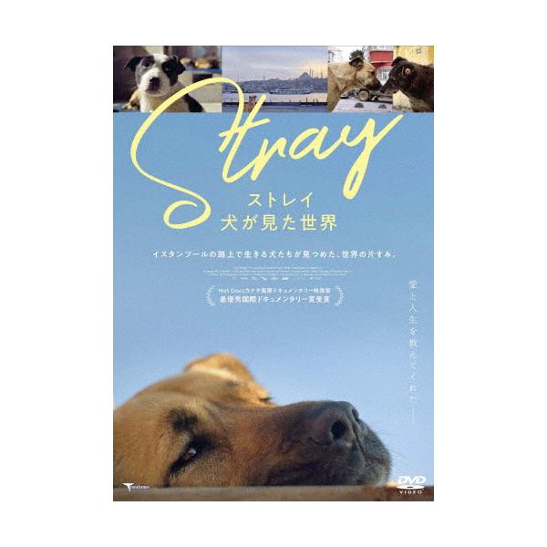 ◆品　番：TMSS-446◆発売日：2022年12月02日発売◆出荷目安：２〜５日◆PG-12◆ストレイイヌガミタセカイ/STRAY