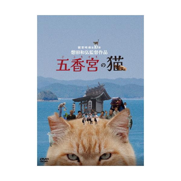 ◆品　番：KKJS-211◆発売日：2026年02月27日発売◆出荷目安：発売日後３〜７日◆ゴコウグウノネコ/CATS OF GOKOGU SHIRINE,THE