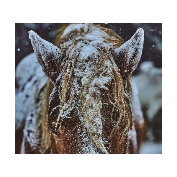 ◆品　番：VFCD-001◆発売日：2021年04月21日発売◆出荷目安：５〜１０日◆※インディーズ商品につき、お届けまでにお時間がかかる場合がございます。予めご了承下さい。◆ヒアイン/HEREIN