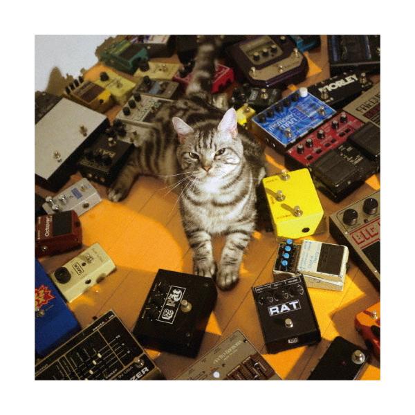 ◆品　番：HHCD-013◆発売日：2021年12月15日発売◆出荷目安：５〜１０日◆※インディーズ商品につき、お届けまでにお時間がかかる場合がございます。予めご了承下さい。◆クリスタライズ/CRYSTALLIZE