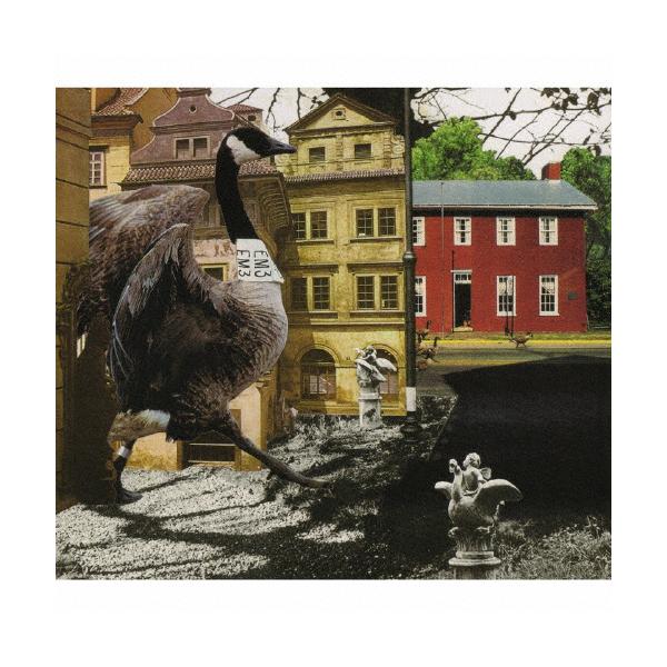 ◆品　番：BRWS-010◆発売日：2026年05月20日発売◆出荷目安：５〜１０日◆デジパック仕様◆※インディーズ商品の為、お届けまでにお時間がかかる場合がございます。予めご了承下さい。◆レイチャタニオーケストラ/RAY CHATANI ...