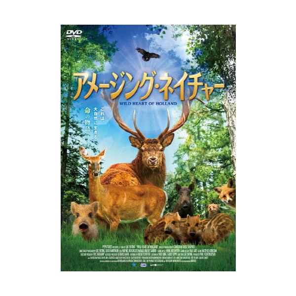 ◆品　番：TWAD-1479◆発売日：2021年07月21日発売◆出荷目安：５〜１０日◆アメージングネイチャー/WILD HEART OF HOLLAND