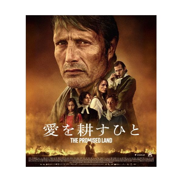 ◆品　番：ALBSB-0084◆発売日：2025年12月05日発売◆出荷目安：２〜５日◆種類:Blu-ray◆アイヲタガヤスヒト/PROMISED LAND,THE