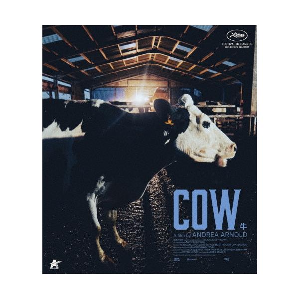 ◆品　番：ALBSB-0089◆発売日：2026年03月04日発売◆出荷目安：５〜１０日◆種類:Blu-ray◆カウウシ/COW