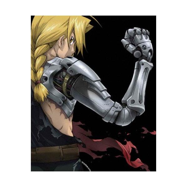 ◆品　番：ANZX-11111/8◆発売日：2014年10月29日発売◆出荷目安：５〜１０日◆種類:Blu-ray◆完全生産限定版/キャラクターデザイン伊藤嘉之描き下ろし三方背BOX(エド、アル両面仕様)◆ハガネノレンキンジュツシブルーレイ...