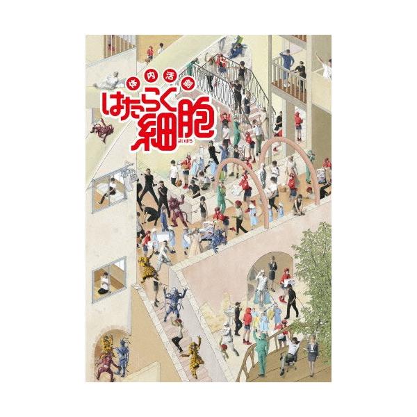 ◆品　番：ANZX-10113/4◆発売日：2019年03月27日発売◆出荷目安：５〜１０日◆種類:Blu-ray◆完全生産限定版/特典ディスク(DVD)付/三方背ケース+デジジャケット仕様◆タイナイカツゲキハタラクサイボウ