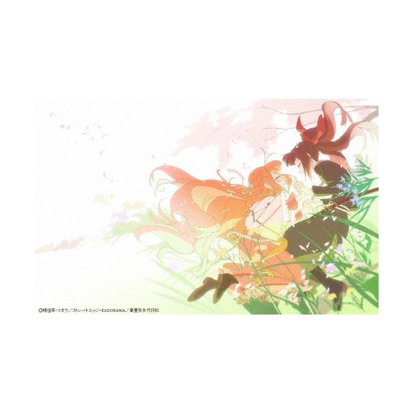 ◆品　番：ANZX-18481/2◆発売日：2026年06月24日発売◆出荷目安：発売日前日◆種類:Blu-ray◆完全生産限定版/描き下ろしデジジャケット+特製三方背ケース仕様◆■先着特典【1】：アニメ描き下ろしイラスト B4クリアポスタ...