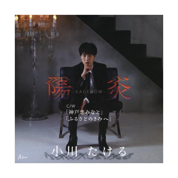 ◆品　番：YZWG-15315◆発売日：2023年09月20日発売◆出荷目安：５〜１０日◆カゲロウ