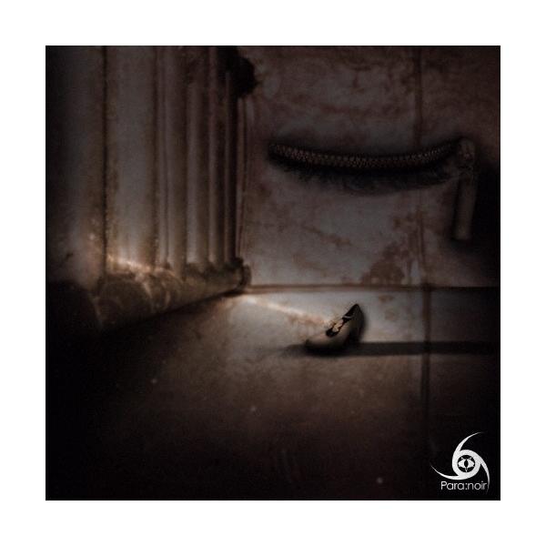 ◆品　番：PRNR-0010◆発売日：2011年12月07日発売◆出荷目安：５〜１０日◆2,000枚完全生産限定盤◆アマリリスコスモス/AMARYLLIS/COSMOS[TYPE B]