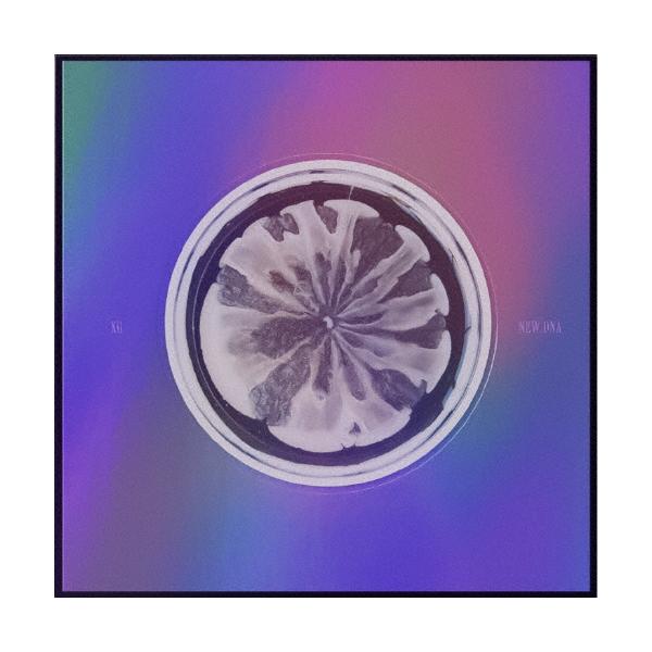 ◆品　番：NFCC-00005◆発売日：2023年09月27日発売◆出荷目安：２〜５日◆初回生産限定盤/X ver./フォトブック+ポストカード+ステッカーセット+トレカ+ライブストリームチケット付◆※先着特典：TRADING CARD(X...